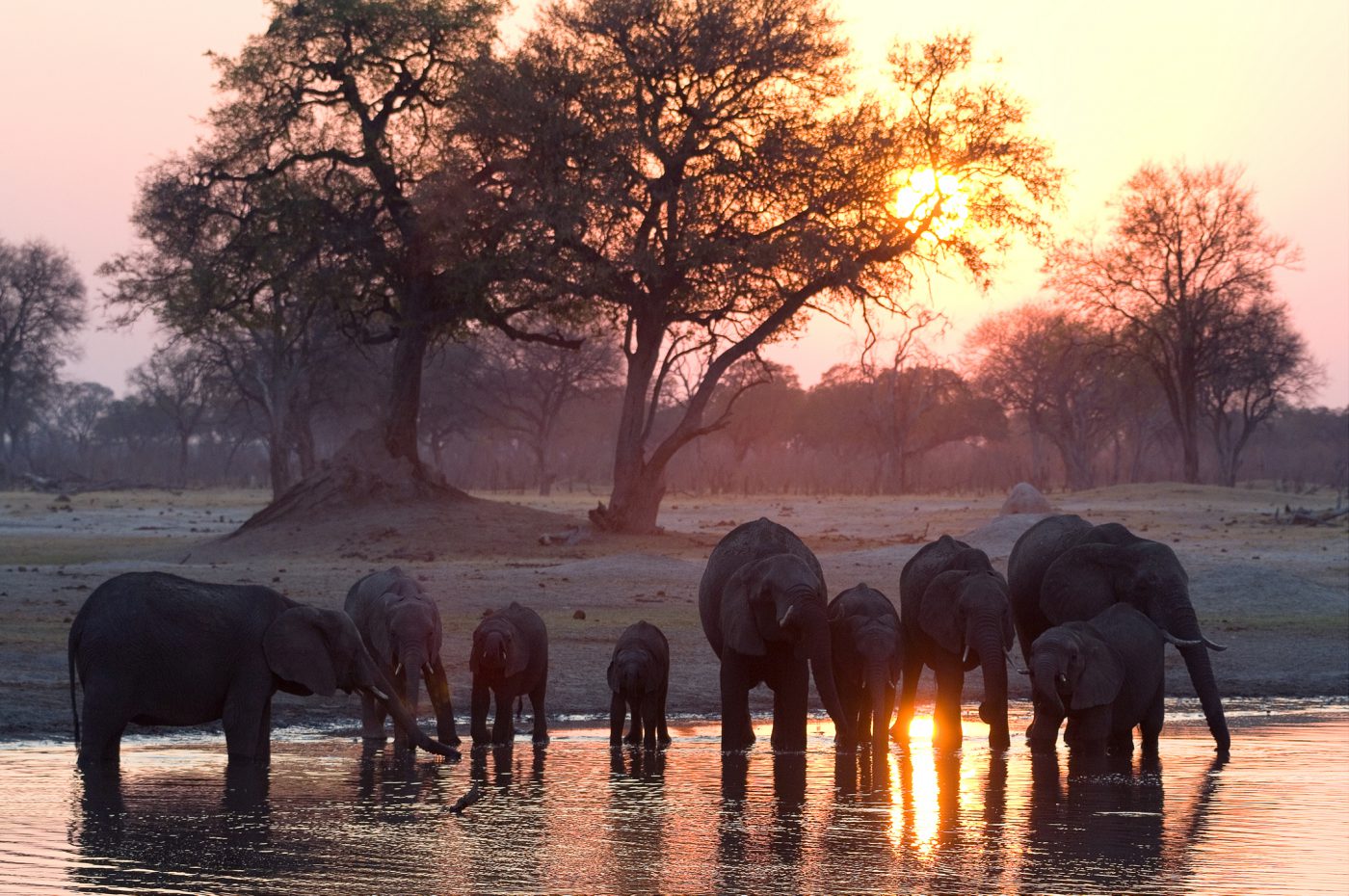 Hwange National Park a Wildlife Paradise! – Zimbabwe A World of Wonders