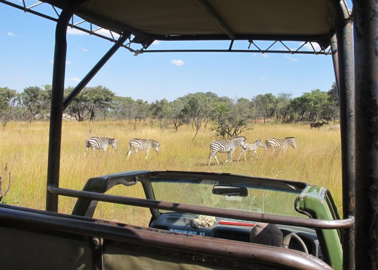 Registered Operators – Zimbabwe A World of Wonders